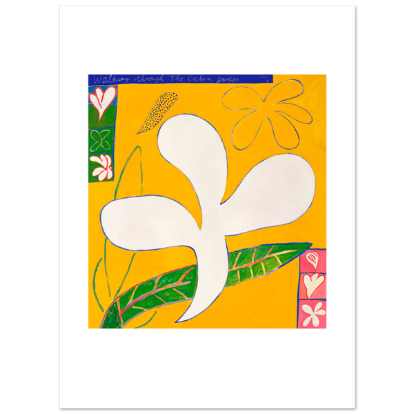 Hibiscus, 1984 - Ken Done Gallery