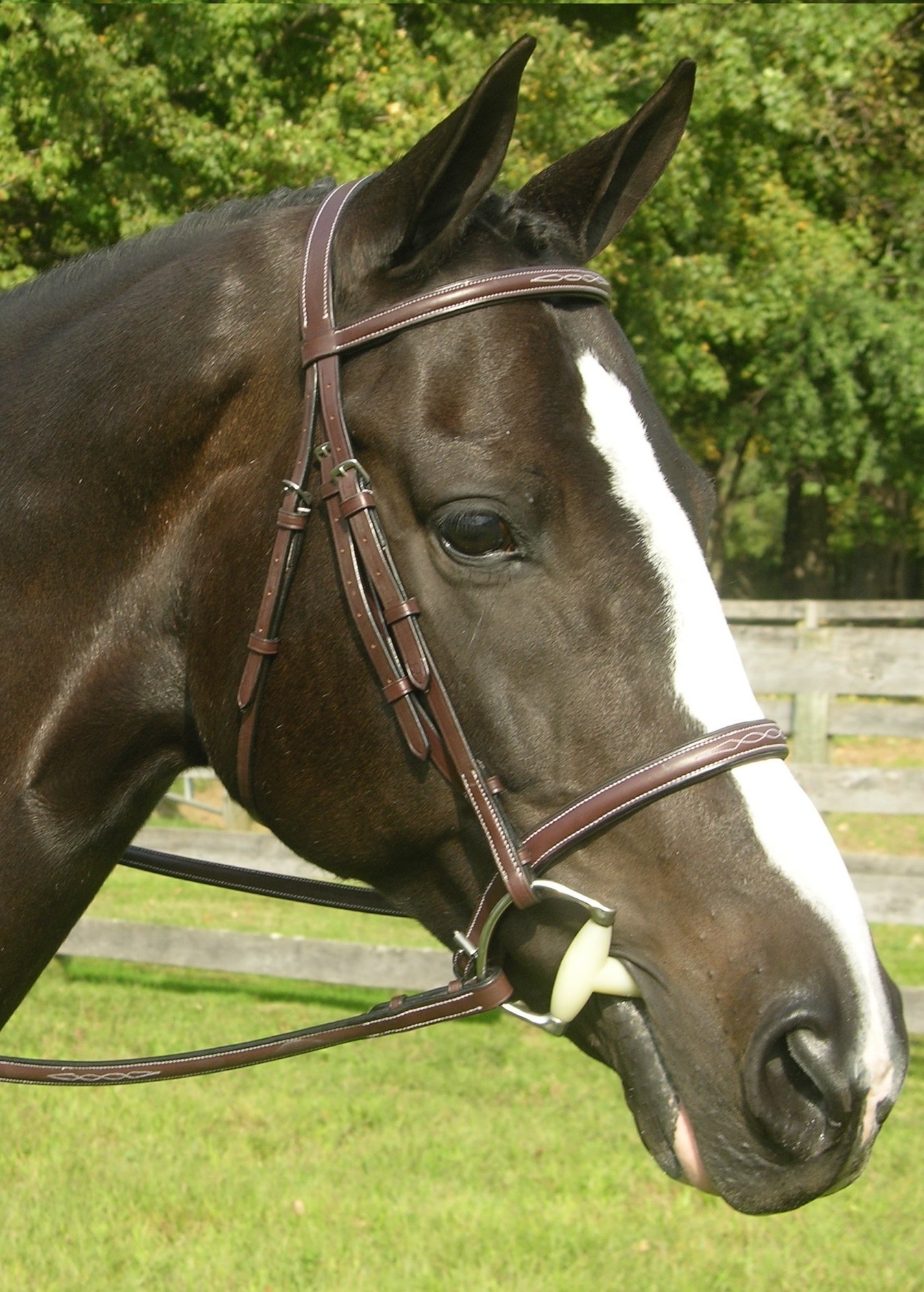 Red Barn Bridlework Sovereign Hunter Bridle - Franklin Saddlery