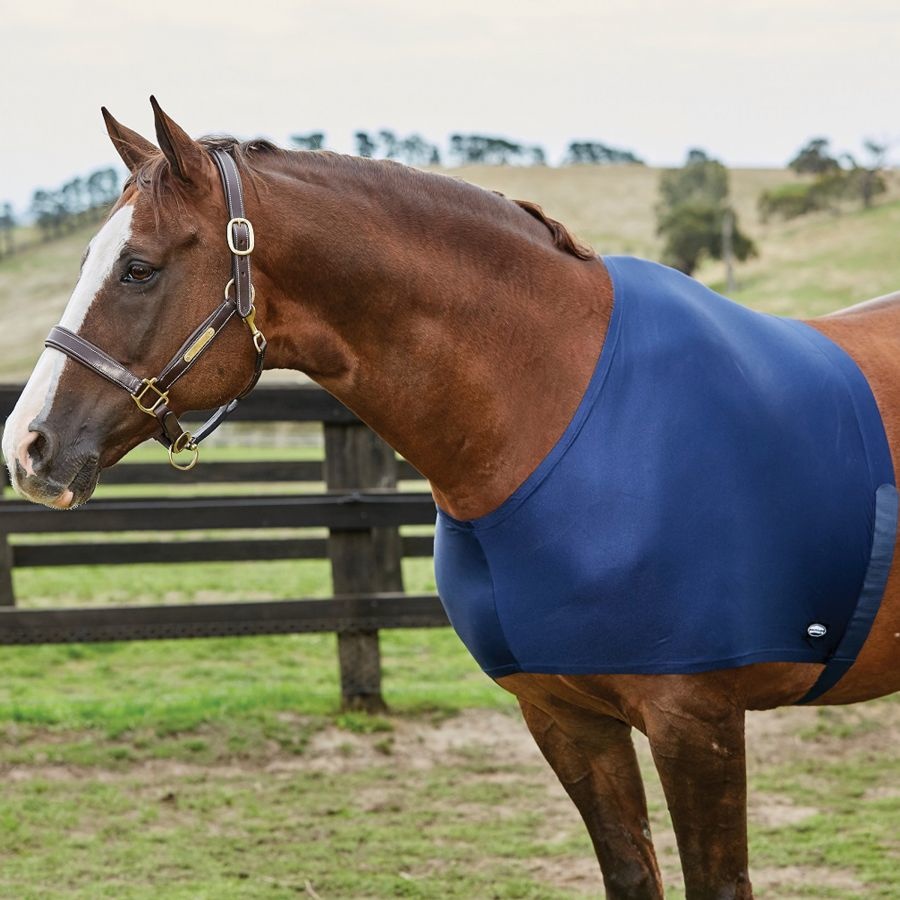 Weatherbeeta Stretch Shoulder Guard Navy - Franklin Saddlery