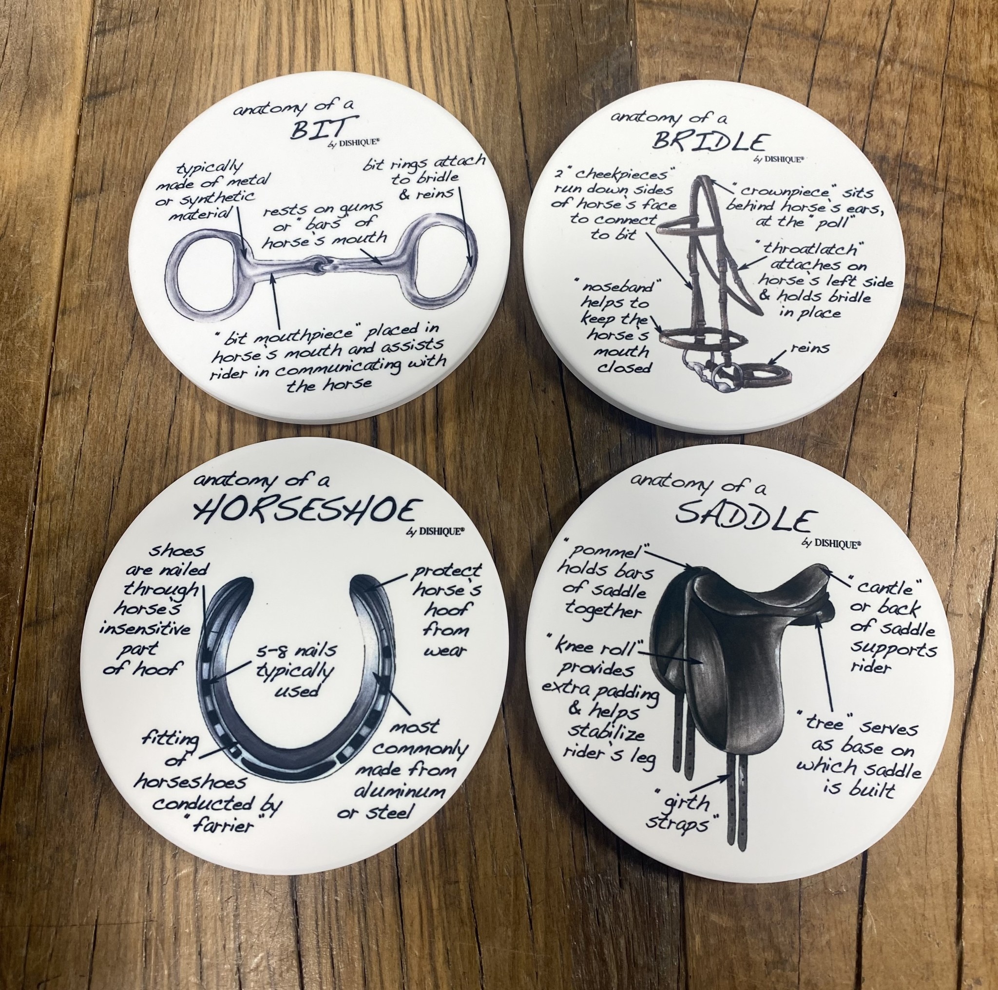 Equestrian Tack Anatomy Coasters - Franklin Saddlery