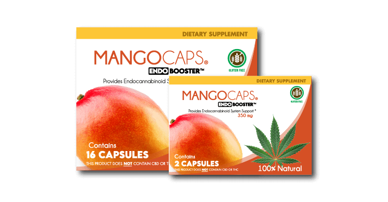 MangoCaps, 350mg 2 capsules - Aroma Grow Store