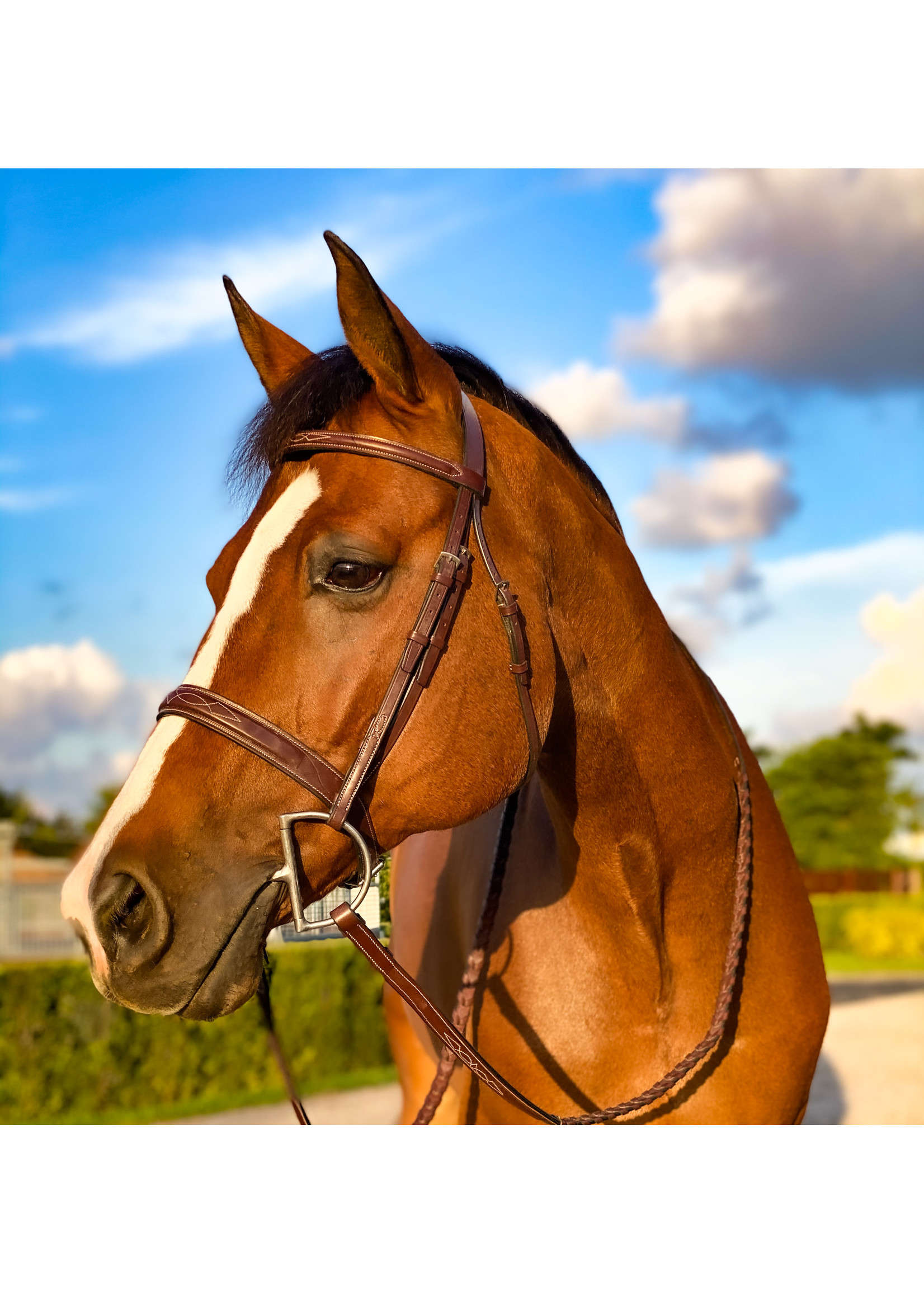 Beval Heritage Wide Caveson Hunter Bridle - RIDE