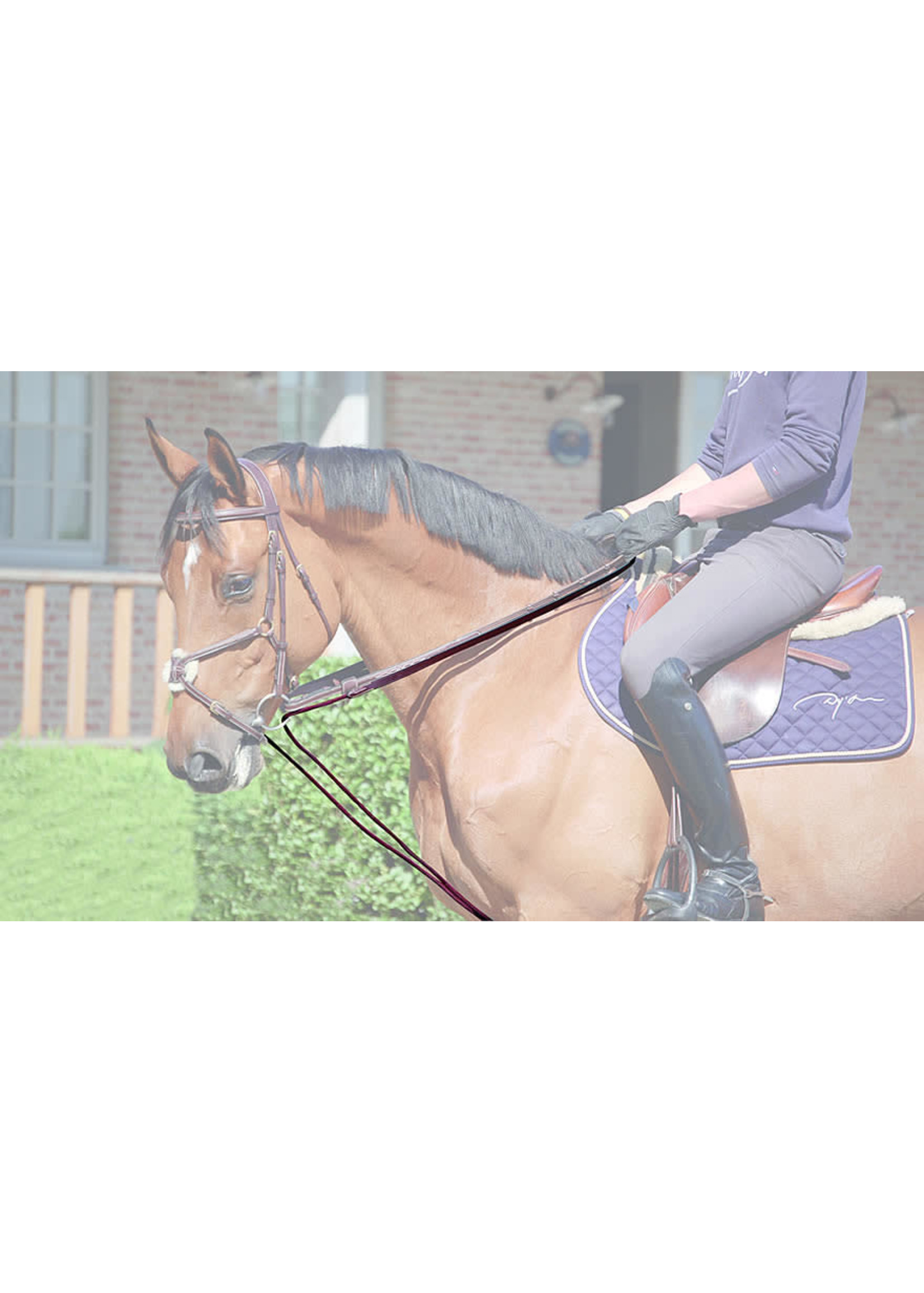 Dy'on D-Collection 5/8" Leather/Nylon Draw Reins - RIDE