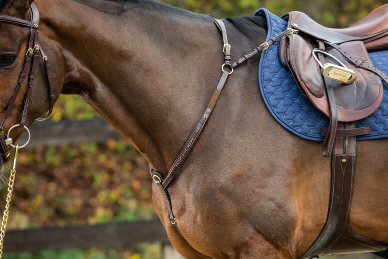 Dy'on D-Collection Bridge Breastplate - RIDE