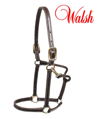 4700 Series Walsh 3/4" Showman Halter - RIDE