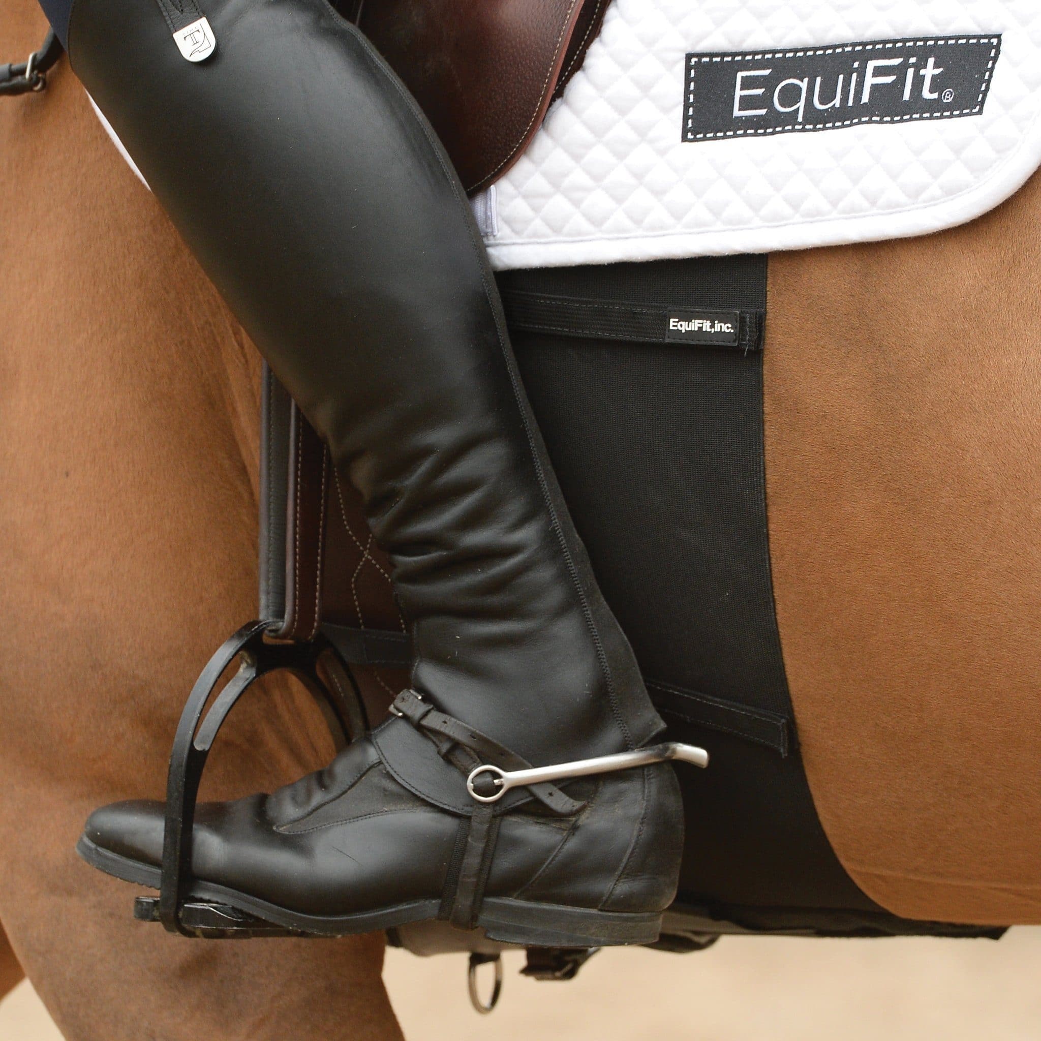 Equifit BellyBand - RIDE