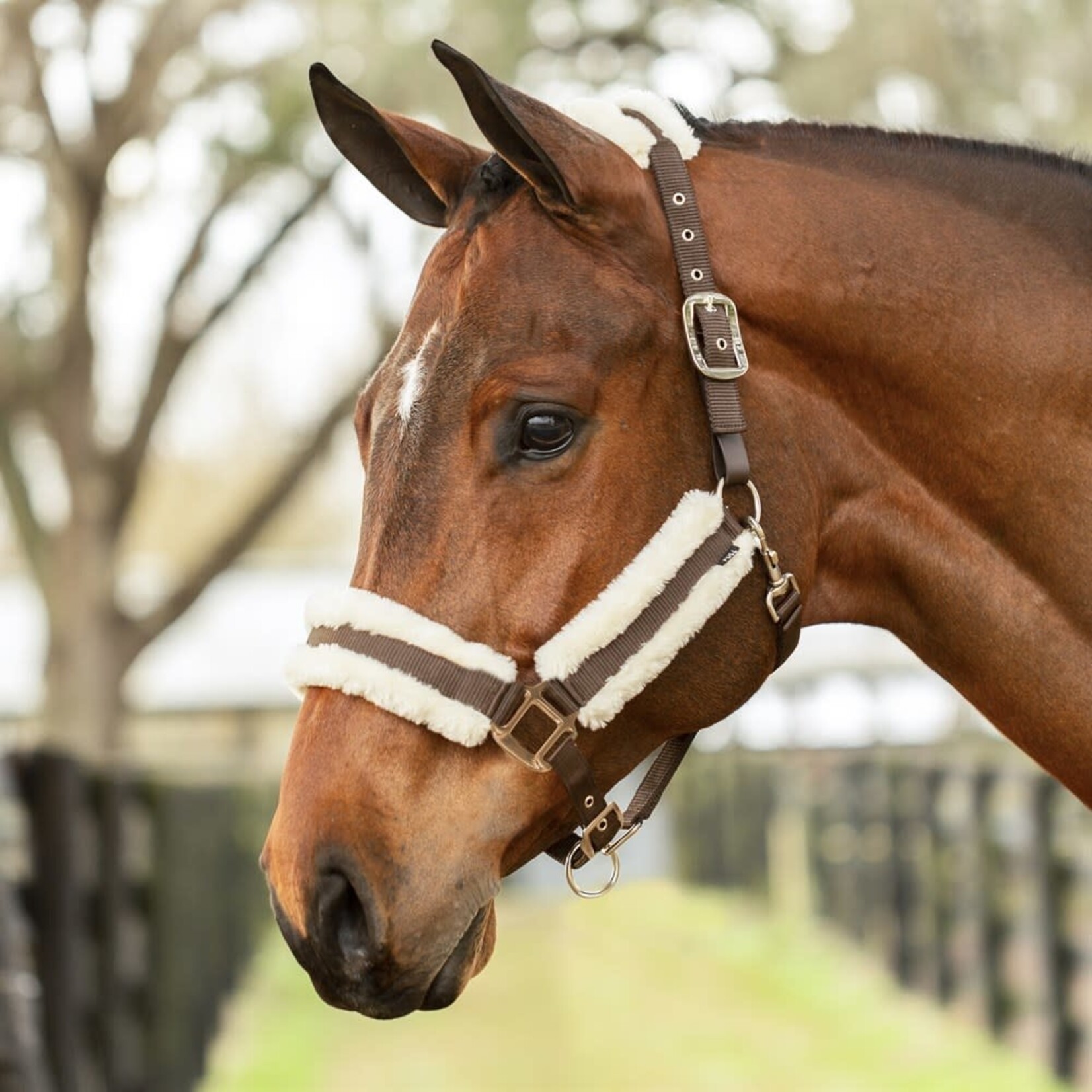 Equinavia Valkyrie Ultra Fleece Breakaway Halter - RIDE
