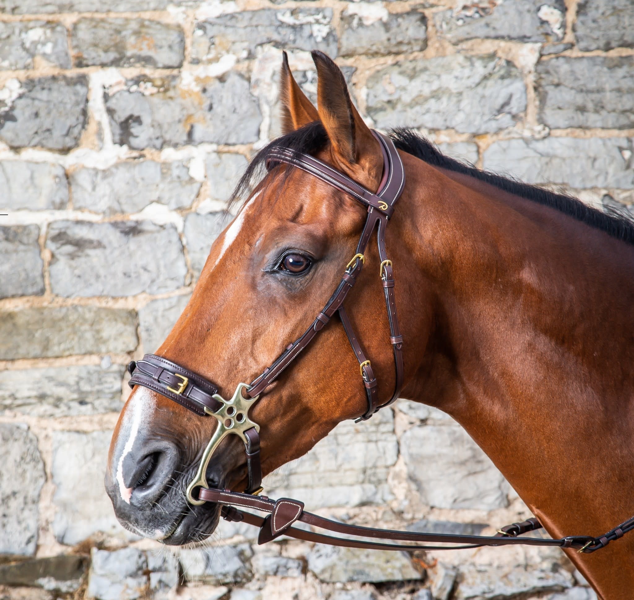 DYFADX Dy'on Collection Hackamore Bridle Headpiece - RIDE