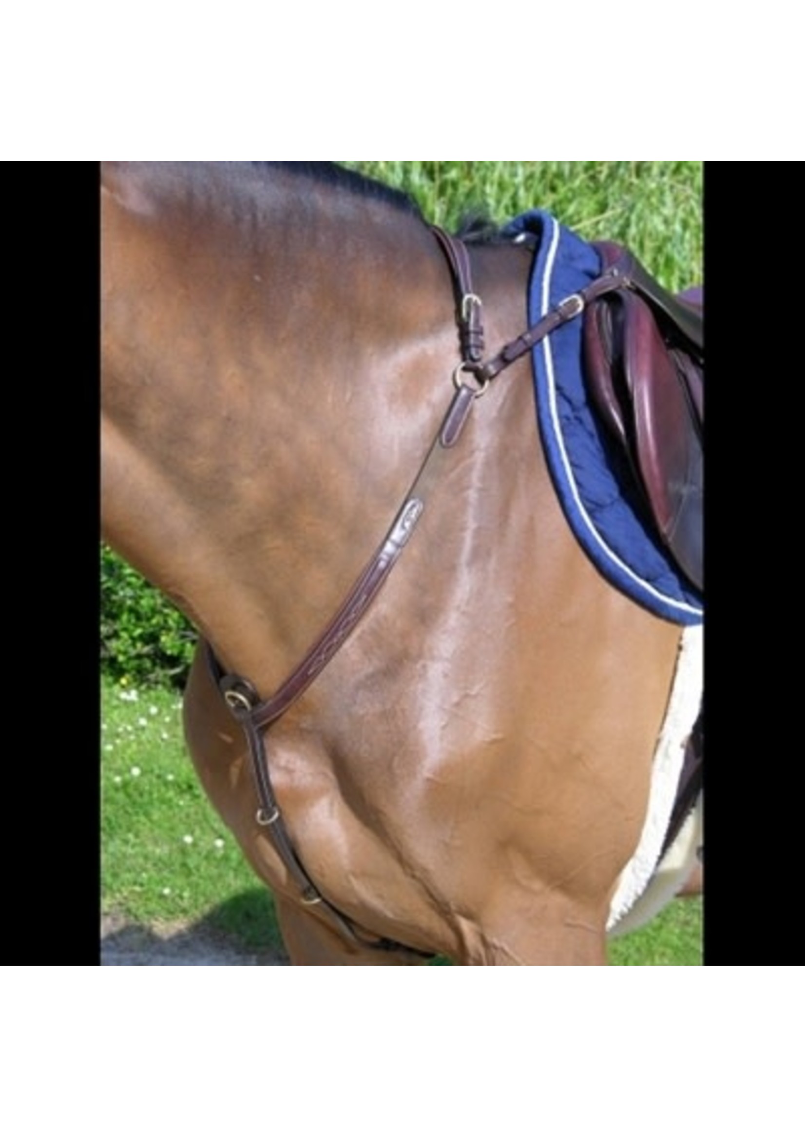 Dy'on D-Collection Bridge Breastplate - RIDE