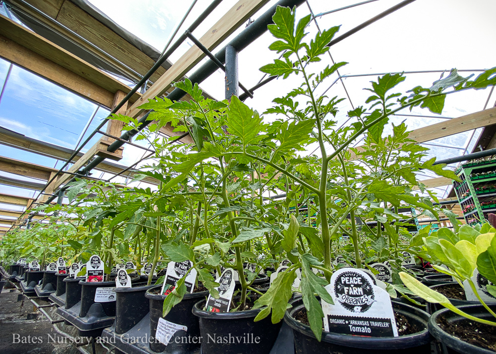 Bates Nursery & Garden Center - Bates Nursery & Garden Center