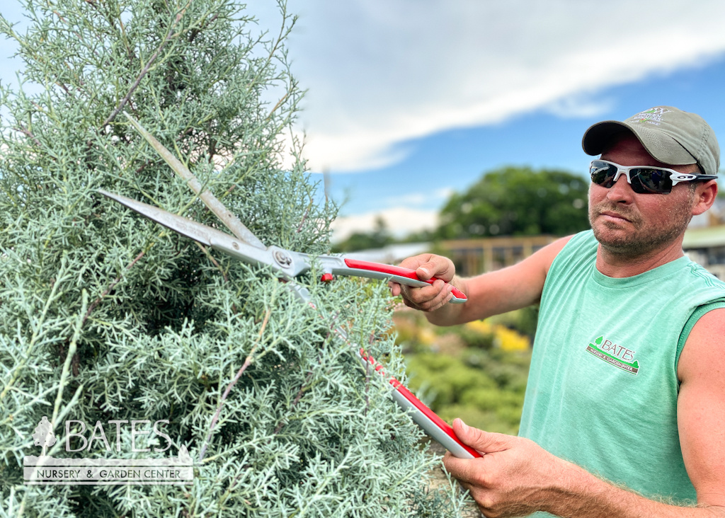 Bates Nursery & Garden Center - Bates Nursery & Garden Center