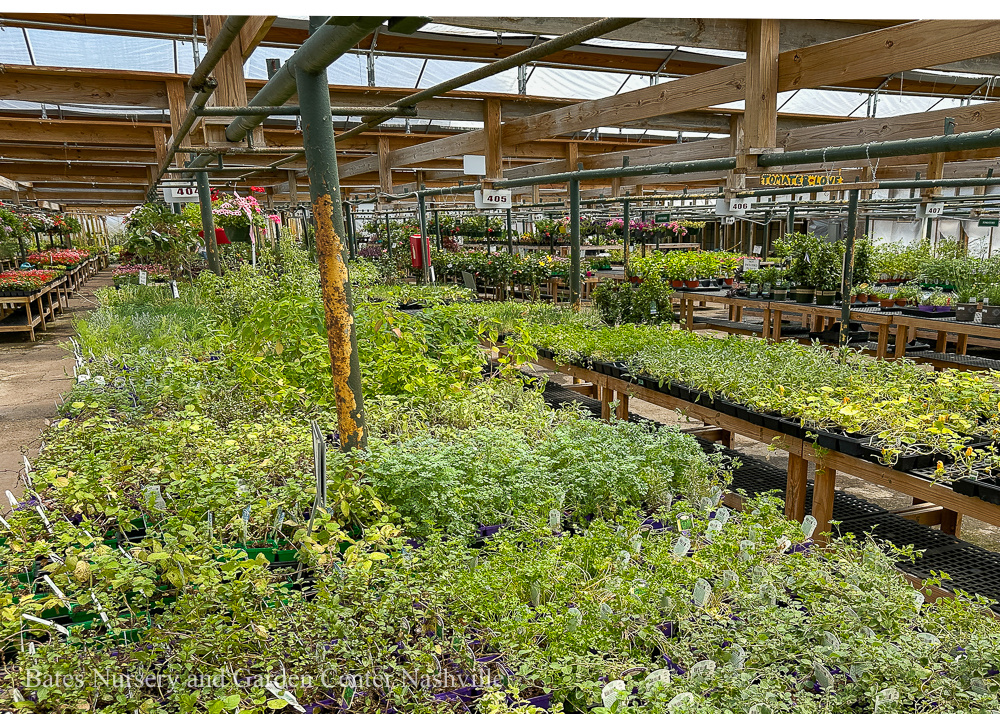 Bates Nursery & Garden Center - Bates Nursery & Garden Center