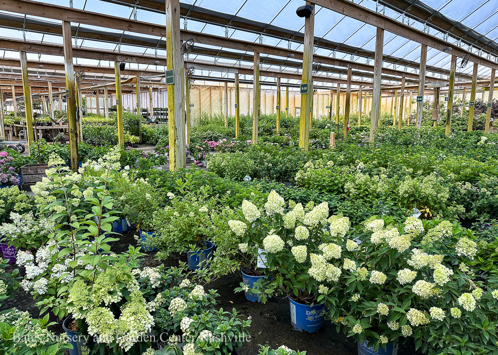 Bates Nursery & Garden Center - Bates Nursery & Garden Center