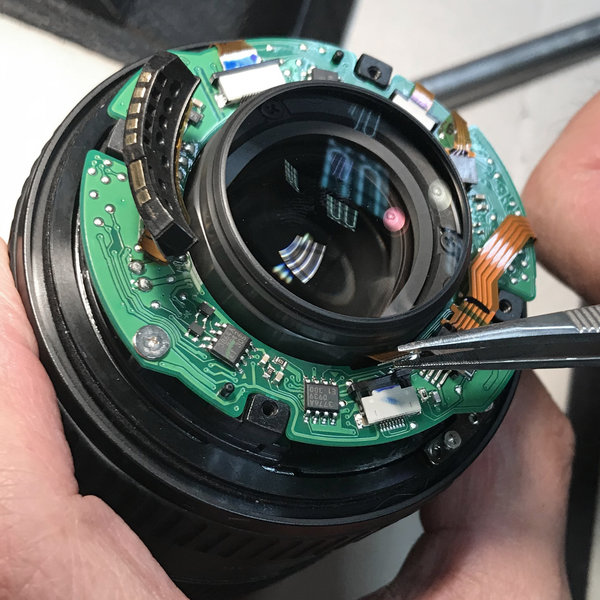 Pro Photo - Pro Photo