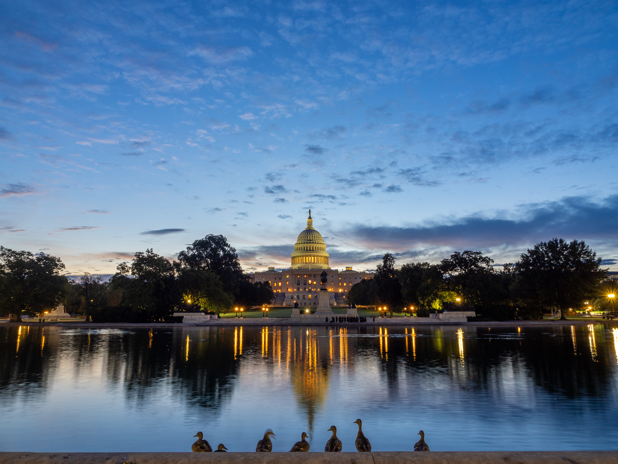 Blue Hour With Ducks at the Capitol | Ian Will - Pro Photo