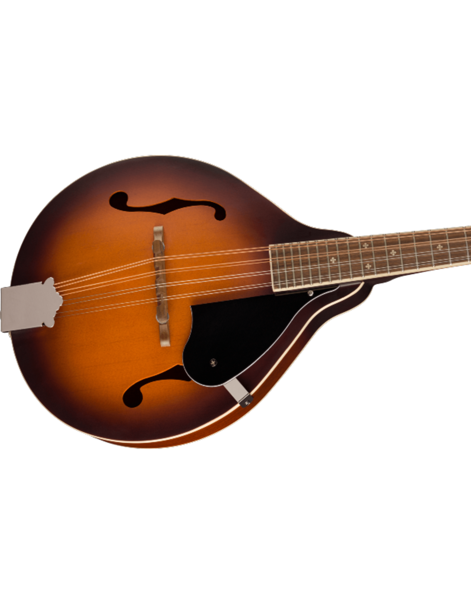 Fender PM-180E Mandolin, Aged Cognac Burst - Backwoods Guitar