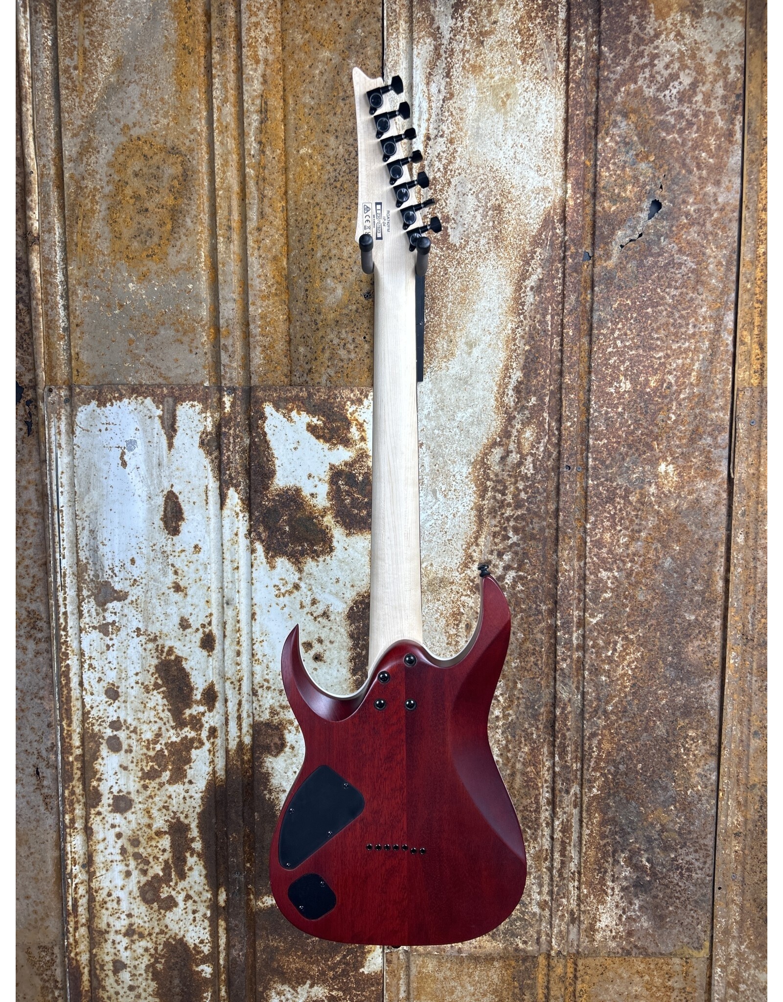 Ibanez RGA Standard RGA742FM Transparent Gray Flat - Backwoods Guitar