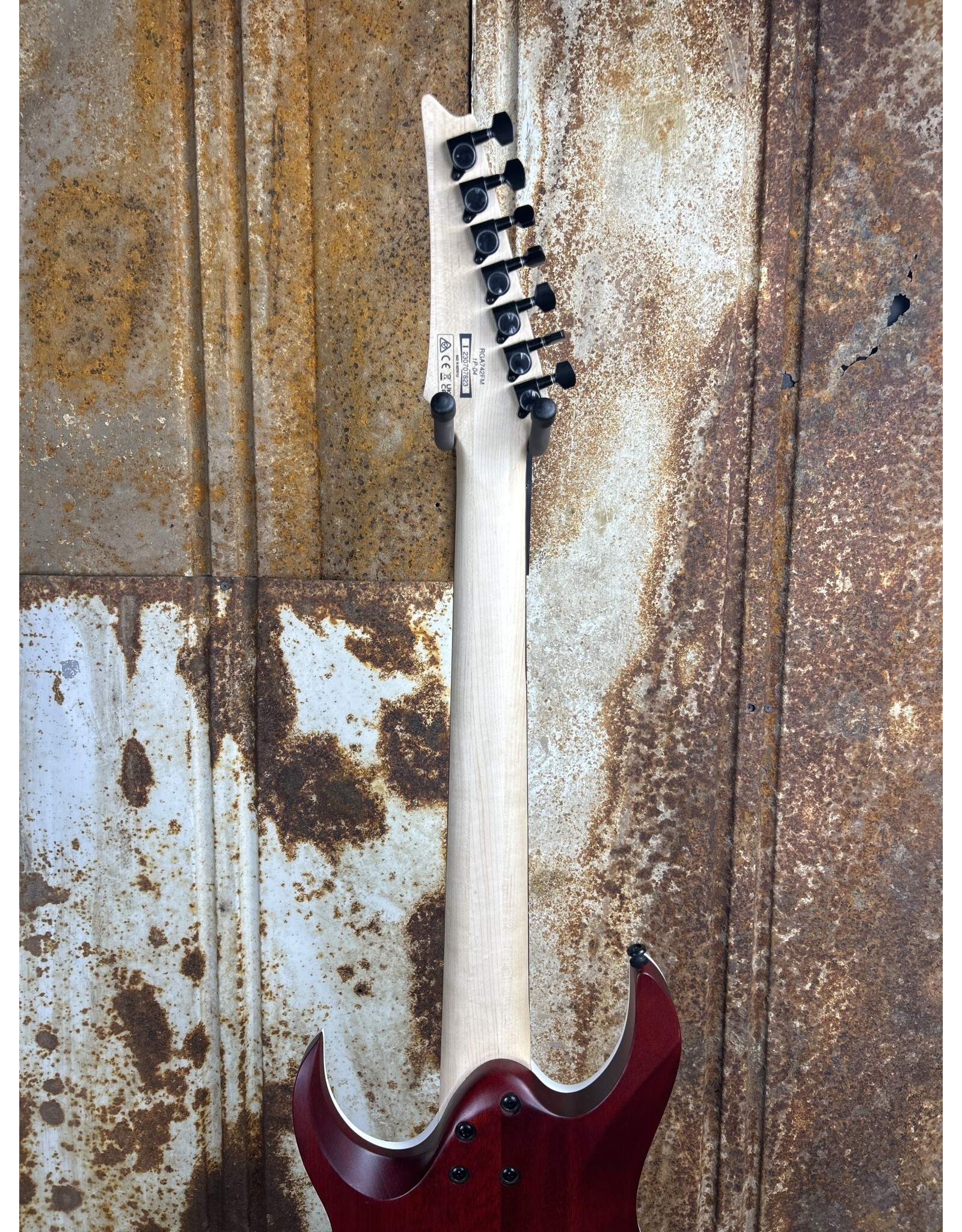 Ibanez RGA Standard RGA742FM Transparent Gray Flat - Backwoods Guitar