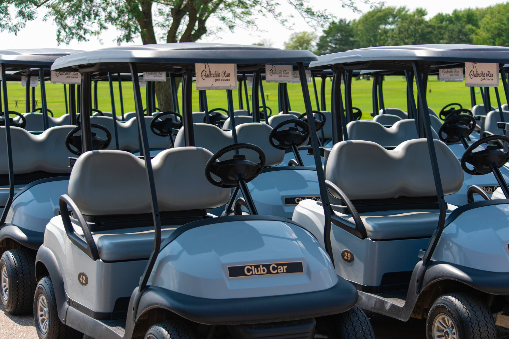 Additional Family Member Cart Pass - Jackrabbit Run Golf Course