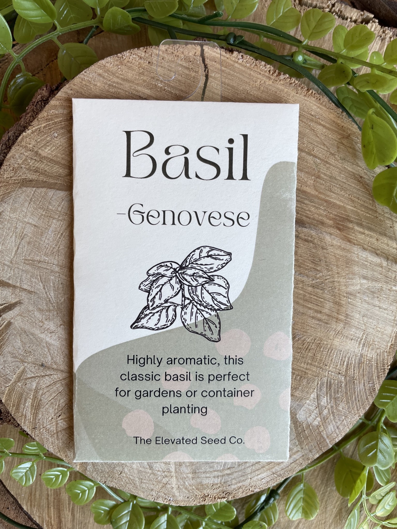 The Elevated Seed Co. Garden Seeds - - Tangled Up In Hue