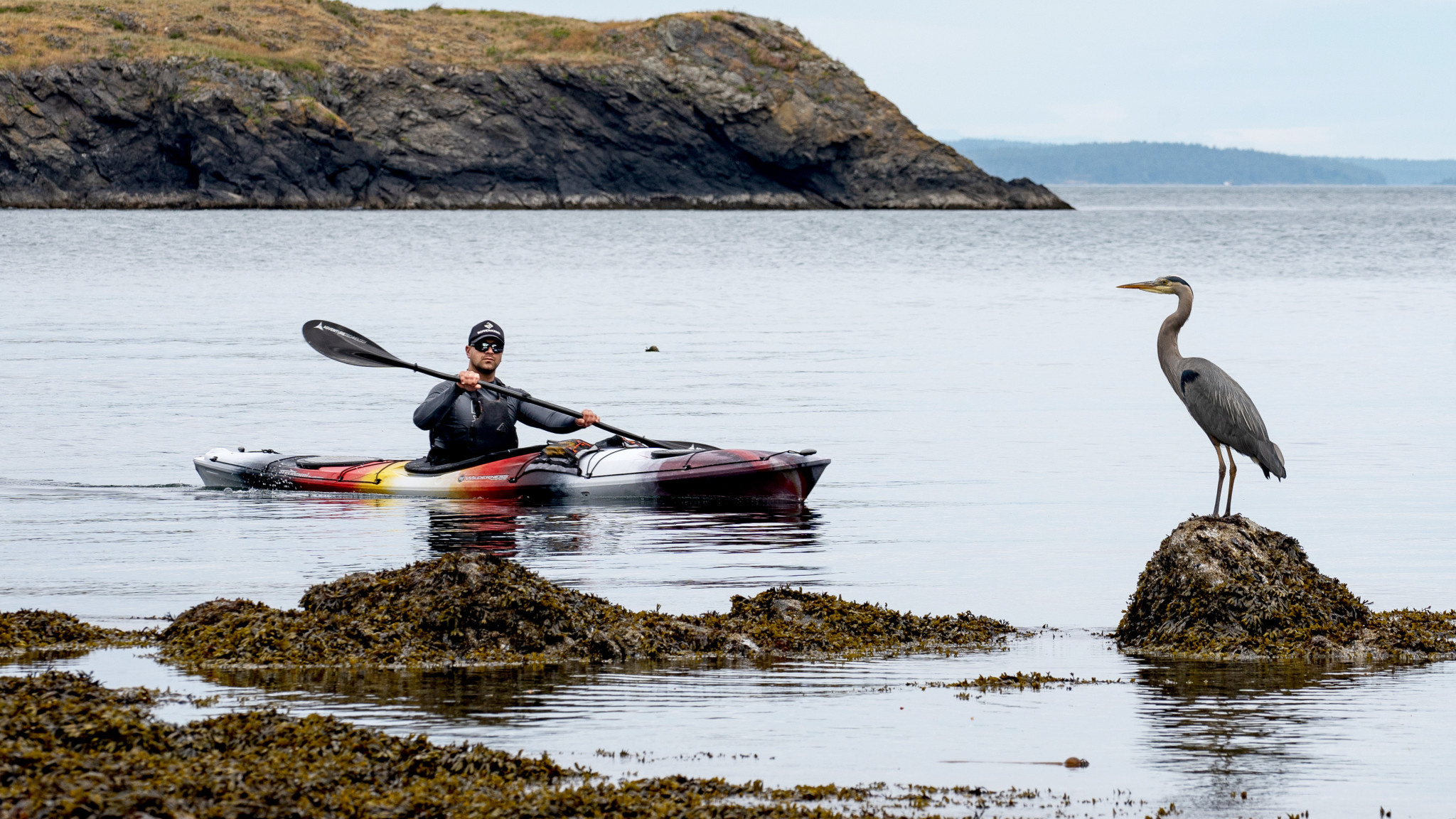 Wilderness Systems Tsunami 145 Touring Kayak - With Rudder - Great ...