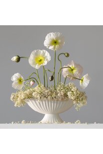 Emma Bass - A Cute Akimbo - Becker Minty