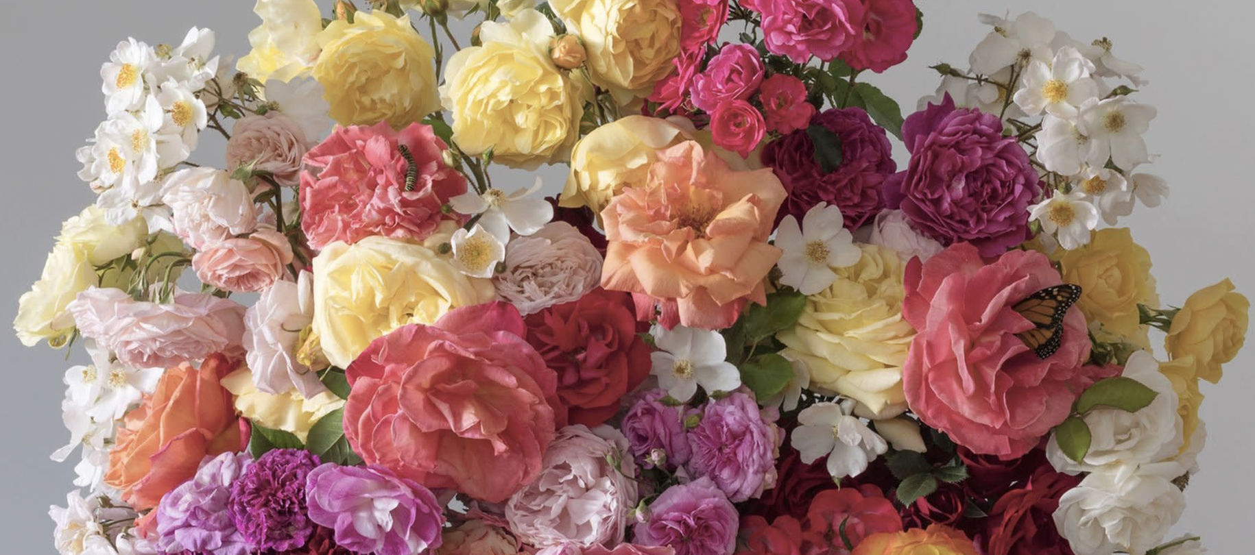 BECKER MINTY - ART - BY ARTIST - Becker Minty