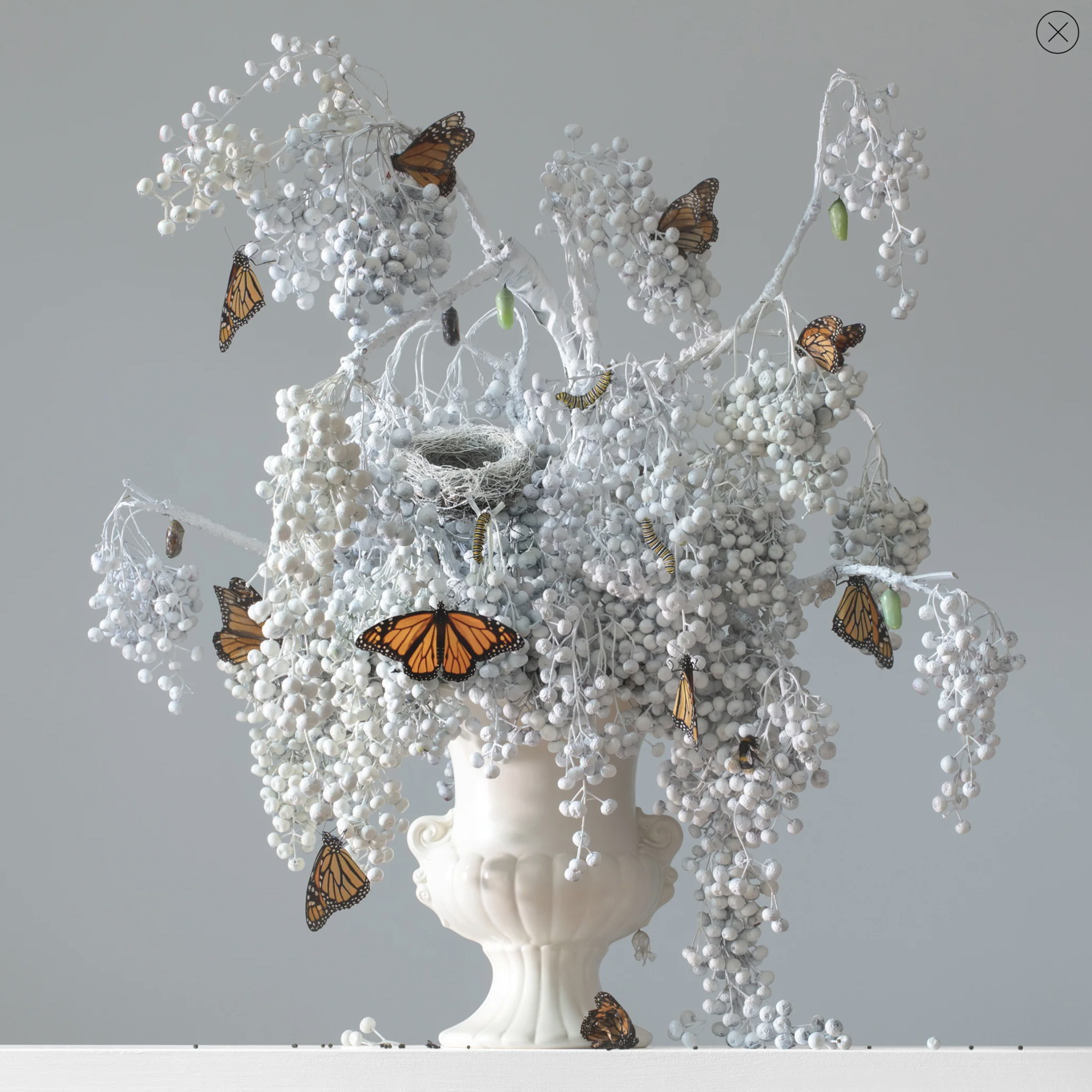 Emma Bass - Spirit of Eden - Becker Minty