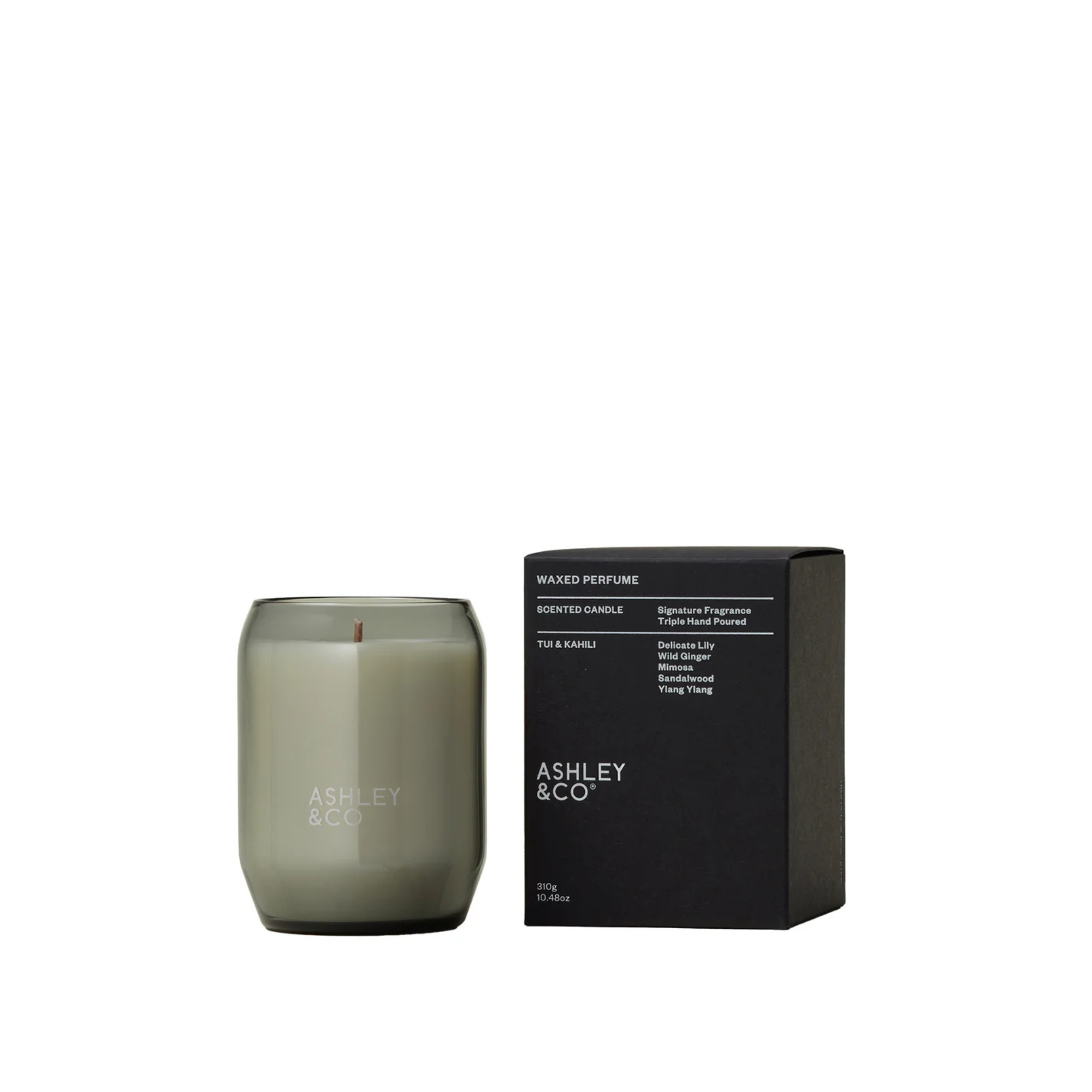 Ashley & Co - Waxed Perfumed Candle - Tui & Kahili - Becker Minty
