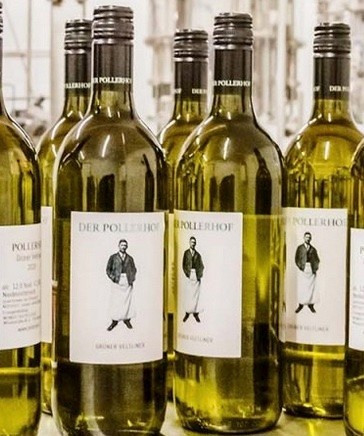 Pollerhof Gruner Veltliner Made with Organic Grapes 2022 1L - Royal ...
