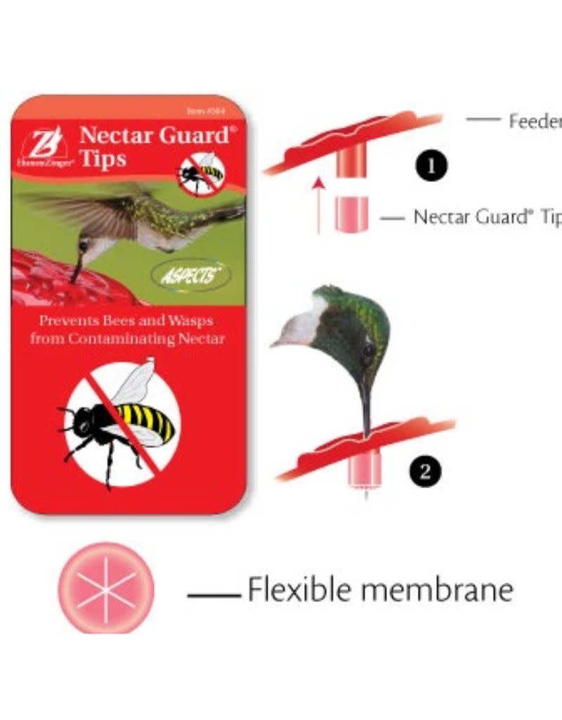 ASP384 Nectar Guard Tips - Discover Wild Birds, Find Joy!