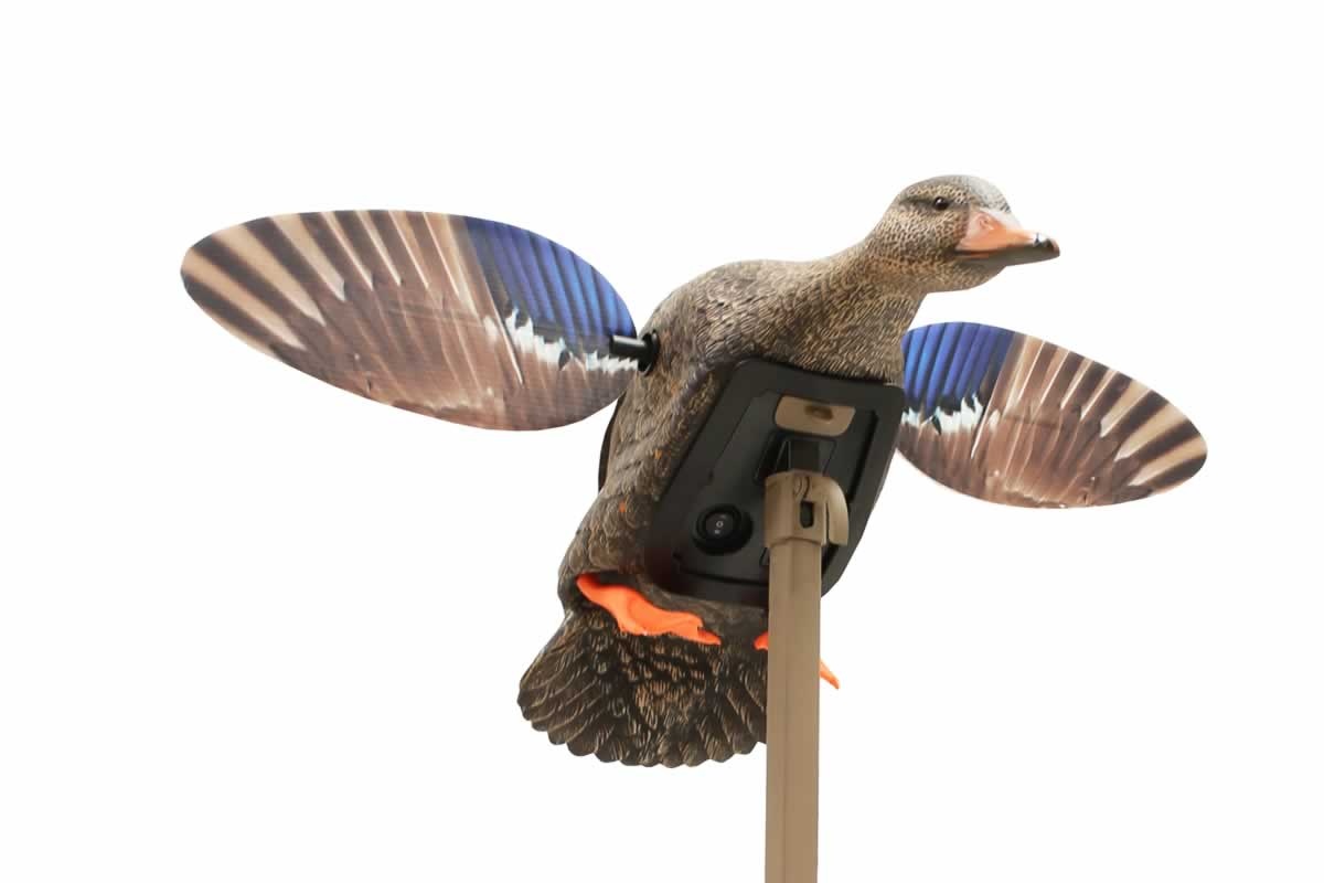 MOJO - Mini Mallard Hen - NO REMOTE - Cabin Creek Supply