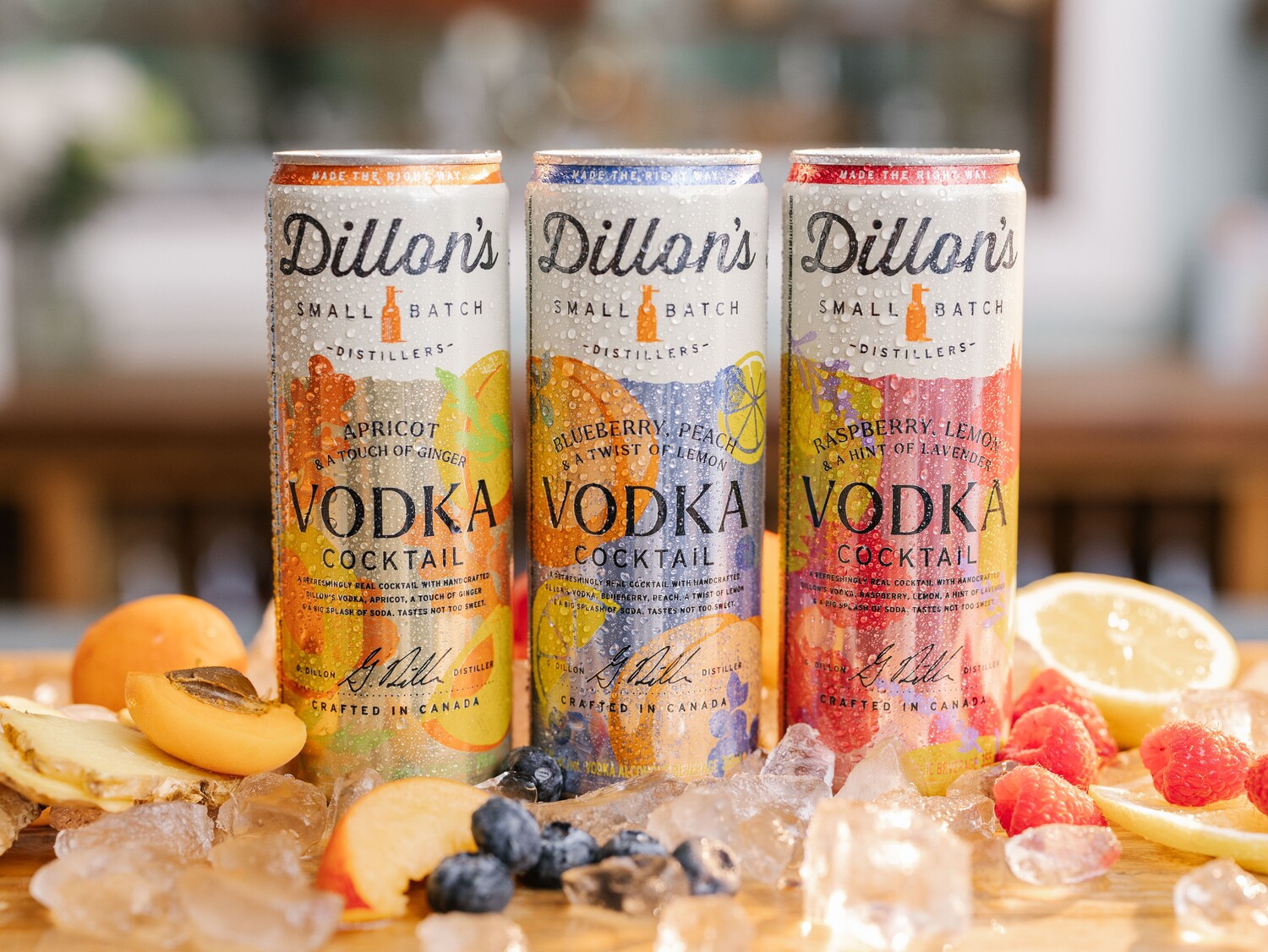 Dillon's Vodka Cocktail Variety Pack - Dillon's Small Batch Distillers