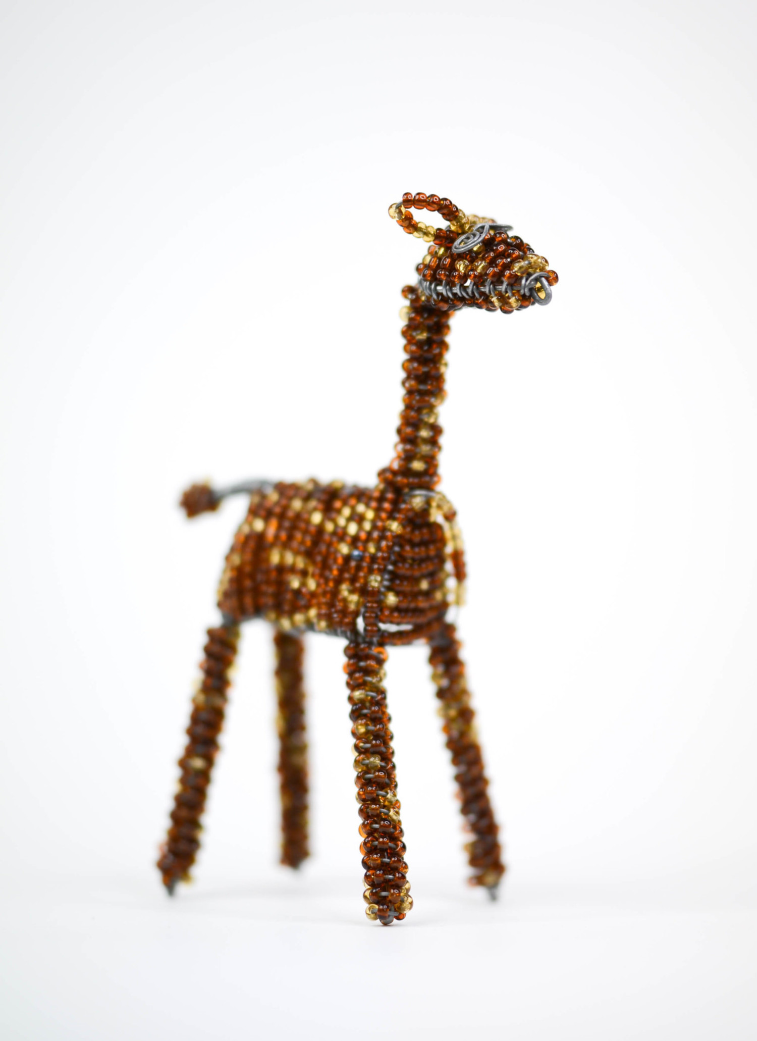 Real Miniature Giraffe