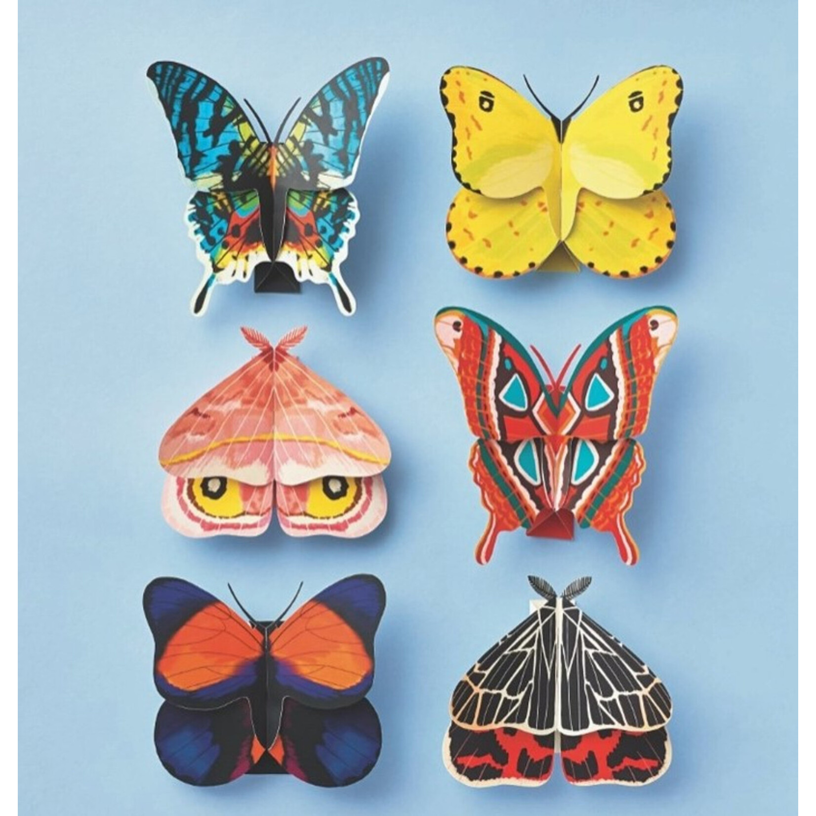 Moths & Butterflies Paper Craft Kit - DECO Raleigh