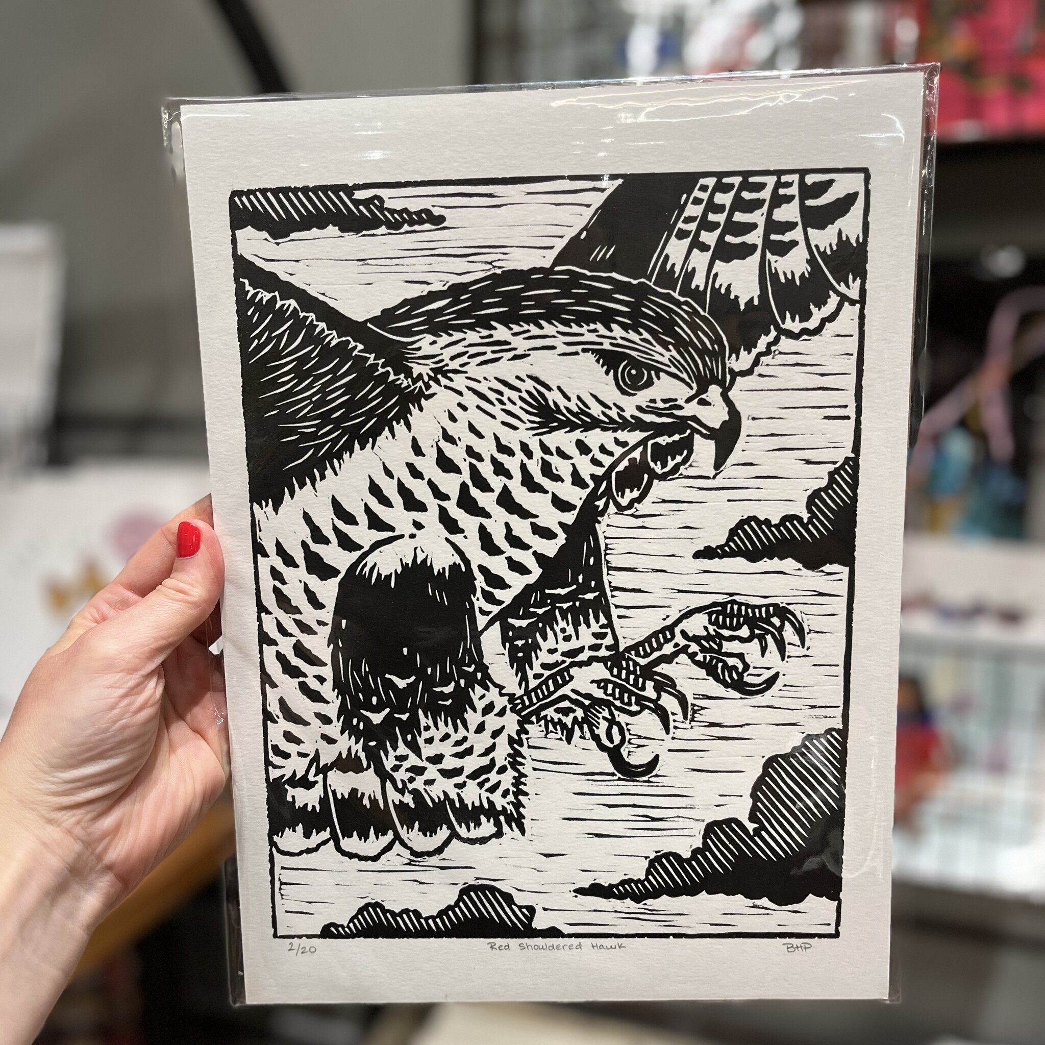 Red Shouldered Hawk BHP Prints - DECO Raleigh