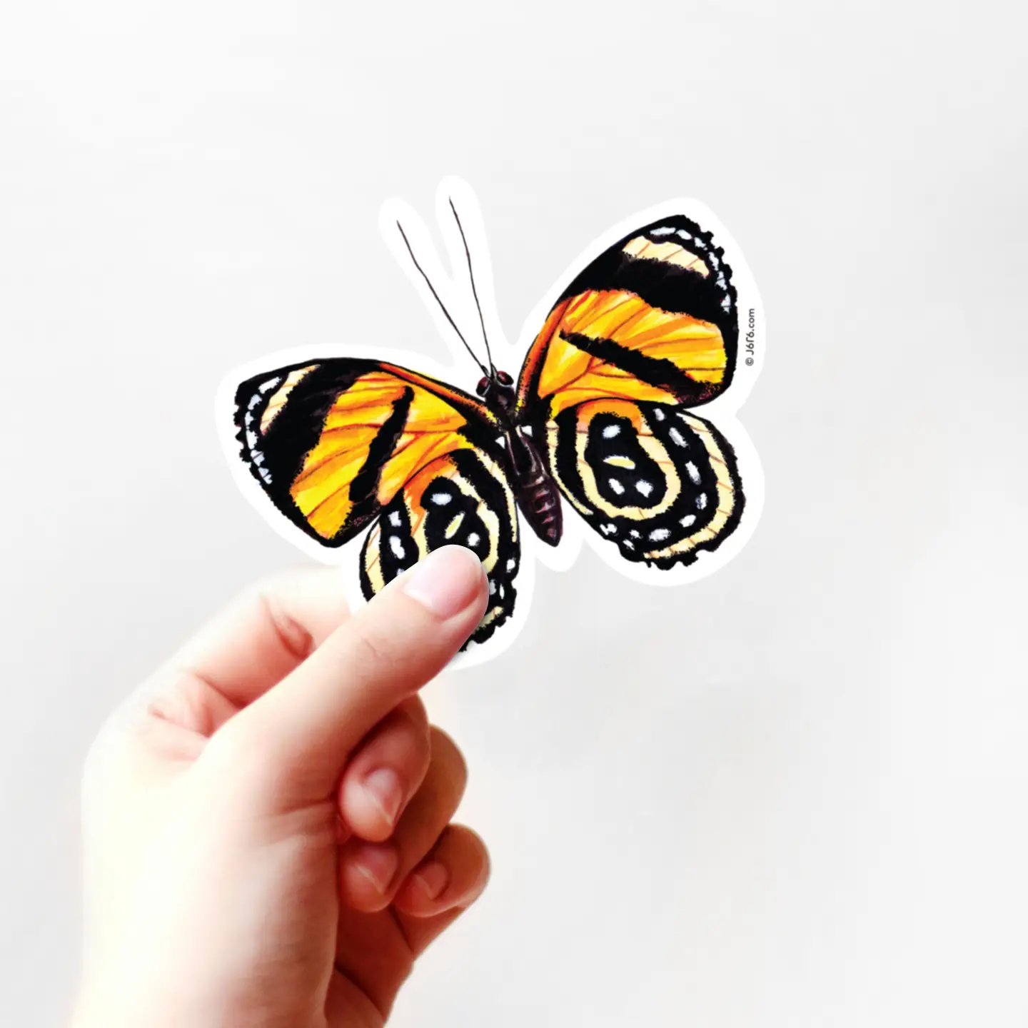 J6R6 Orange Butterfly 6 Sticker - DECO Raleigh