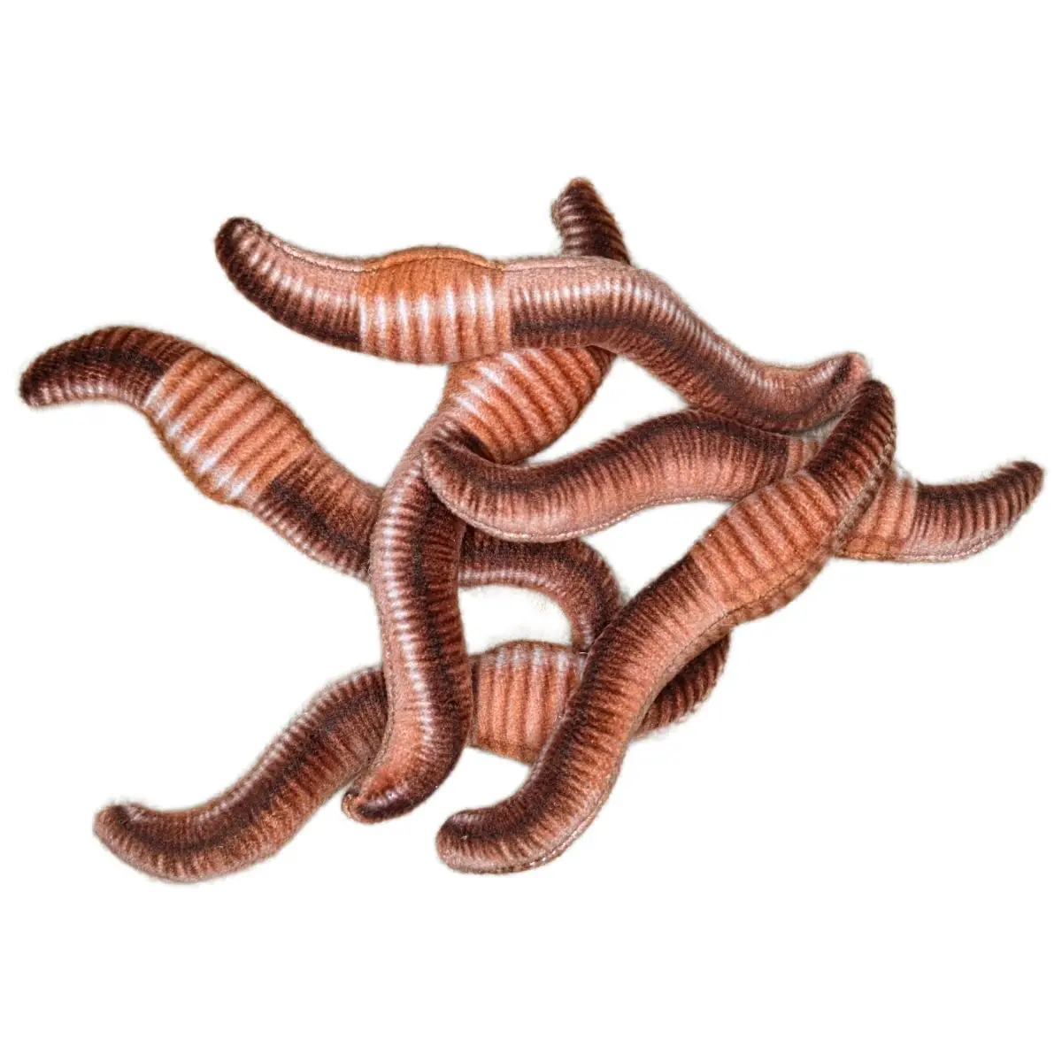 Can O'Worms - DECO Raleigh