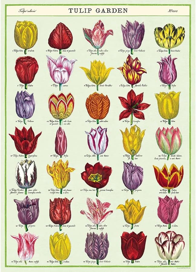Vintage Poster - Tulip Garden - DECO Raleigh