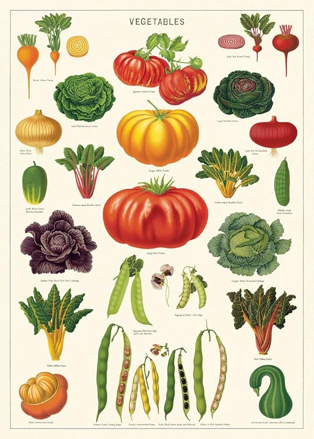 Vintage Poster - Vegetable Garden - DECO Raleigh