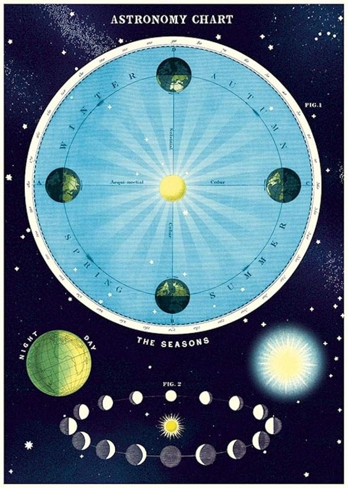 Cavallini Vintage Poster - Astronomy Chart - DECO Raleigh