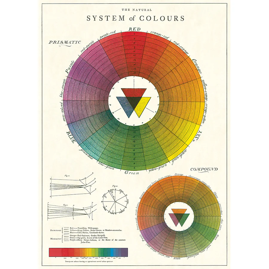 Cavallini Vintage Poster - Color Wheel - DECO Raleigh