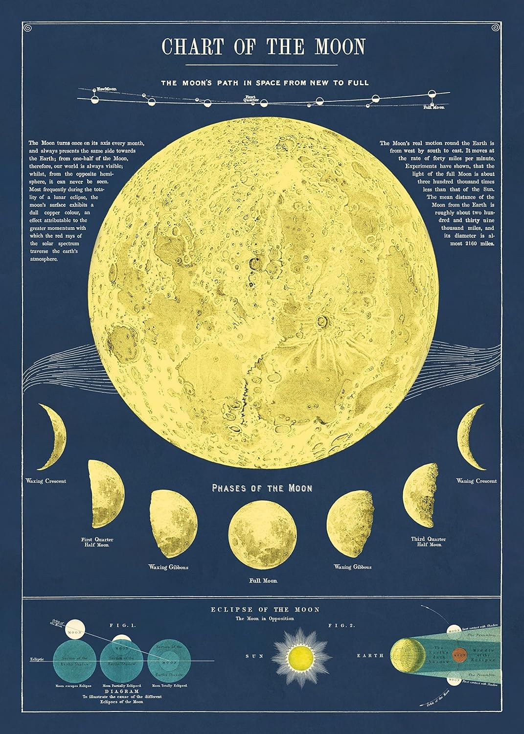 Cavallini Vintage Poster - Moon Chart - DECO Raleigh