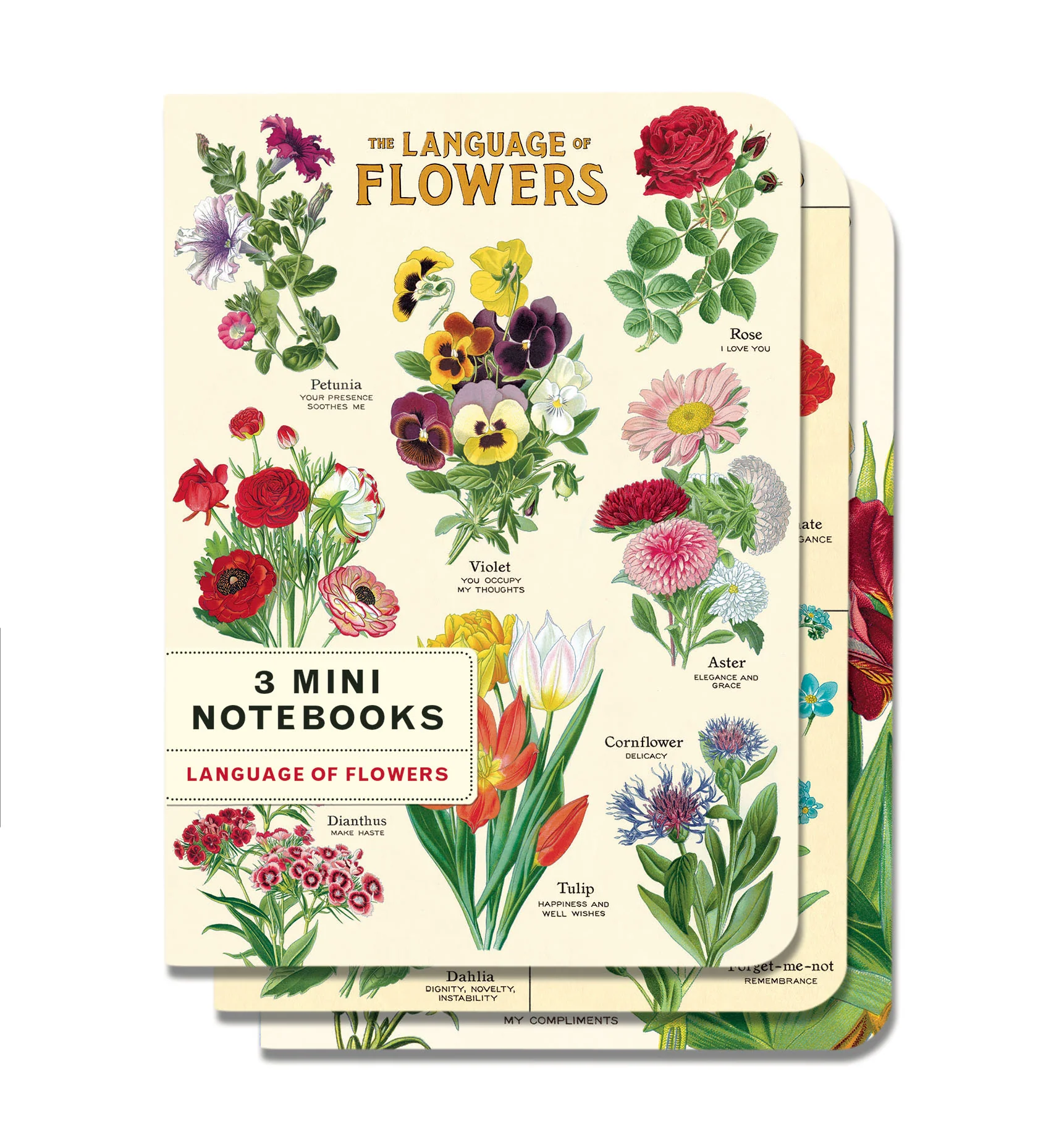 Mini Notebook Set/3 - Language of Flowers - DECO Raleigh