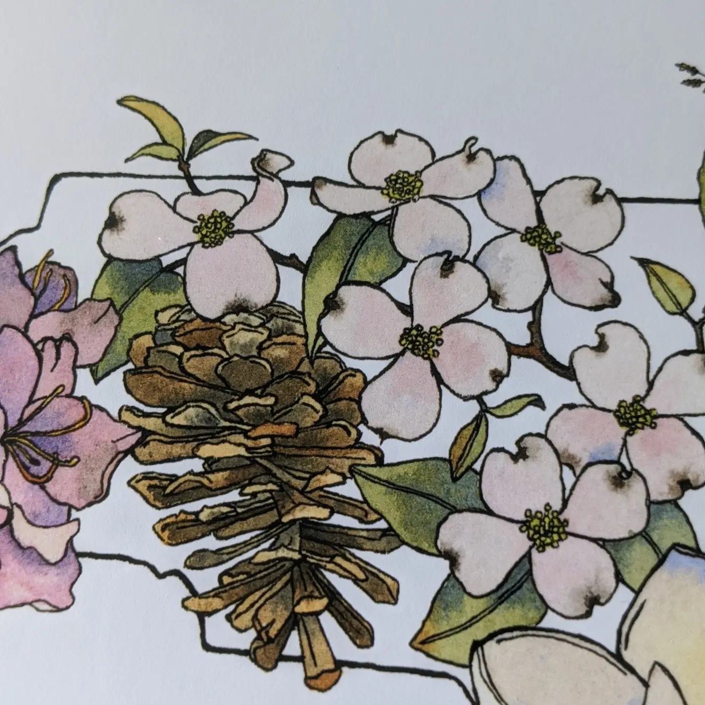 North Carolina Native Plants Notecard - DECO Raleigh