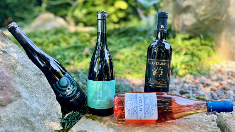 The Caviste - The Caviste