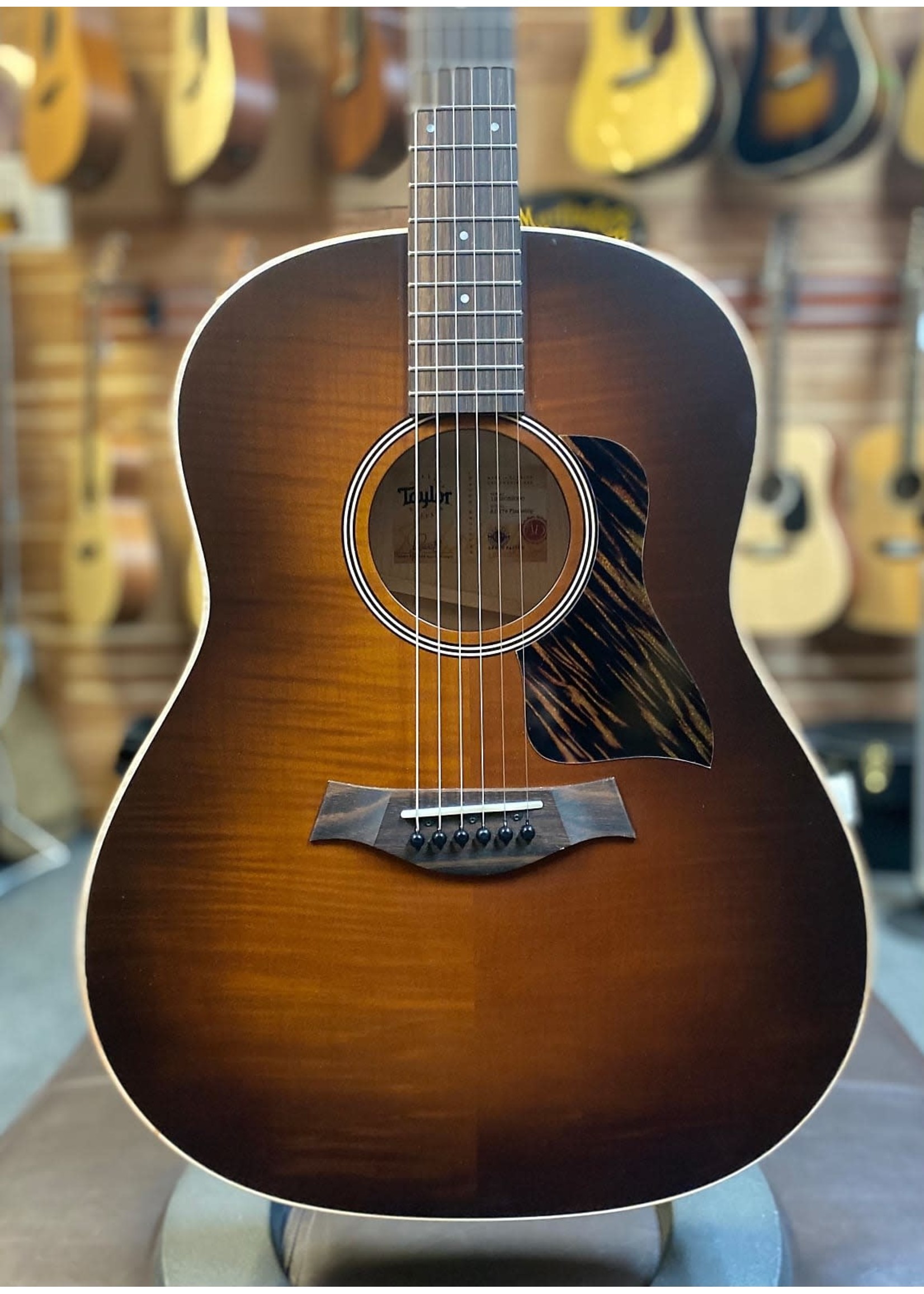 Taylor Jumbo Guitars