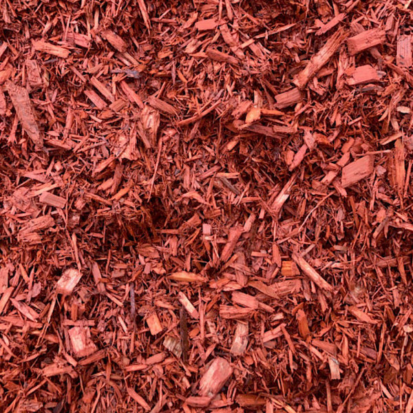 Mulch - Pepiniere Cite des Jeunes