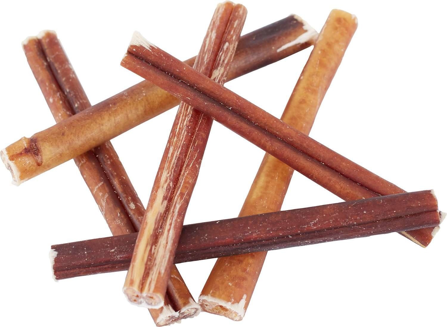 What Are Bully Sticks Dog Treats