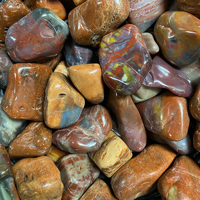 Petrified Wood Extra Large Tumbled Stone - Mystic Valley